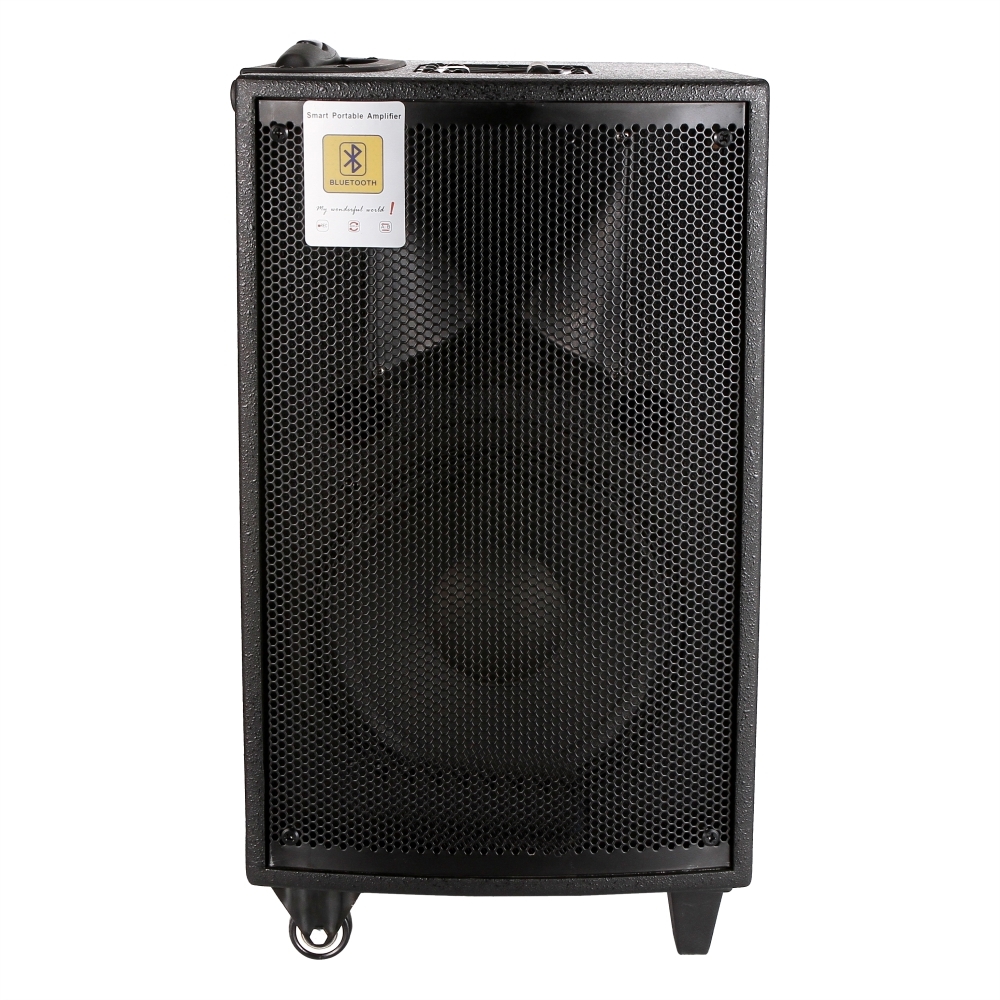 Portable Wireless Public Address (PA) System, with in-built Battery and ...