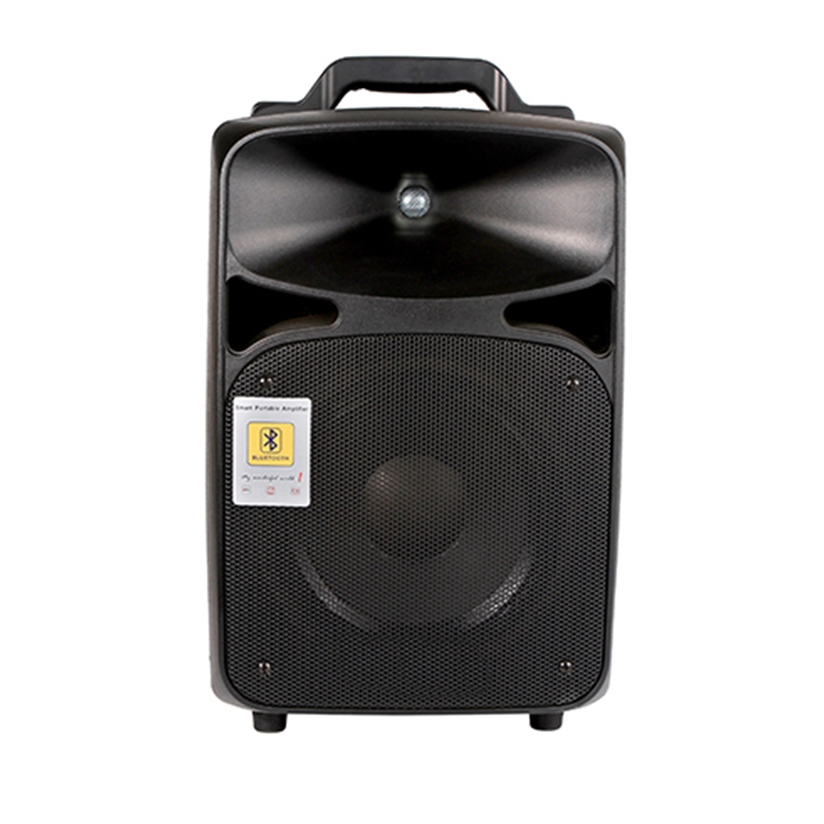 Portable Wireless Public Address (PA) System, with in-built Battery and ...