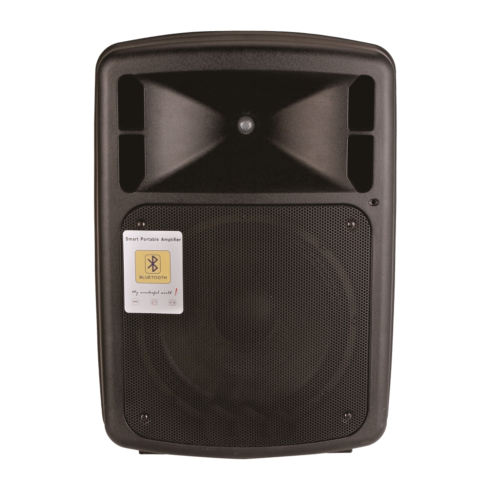 Portable Wireless Public Address (PA) System, with in-built Battery and ...